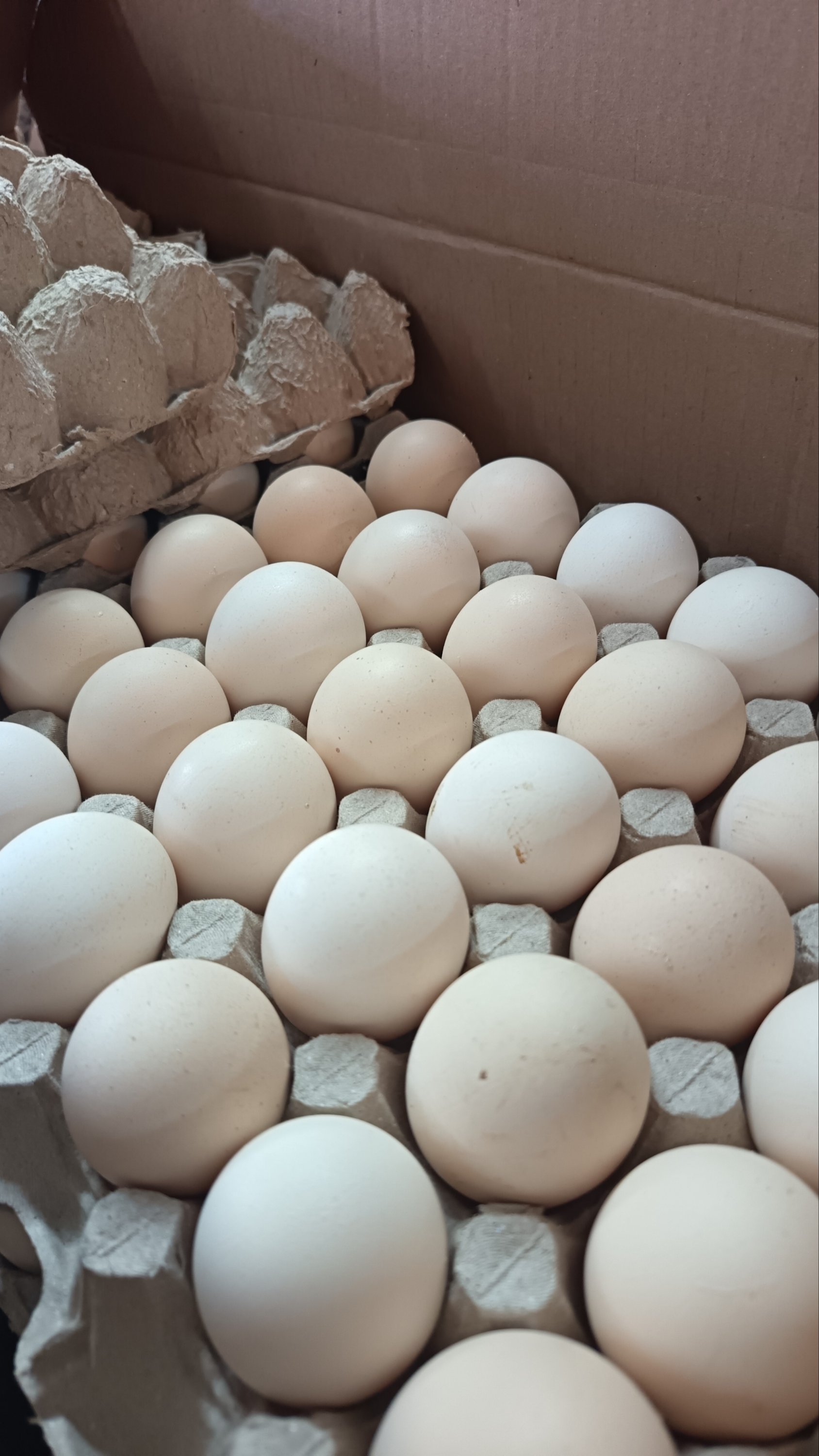 Table Eggs - R40.00 - Order today